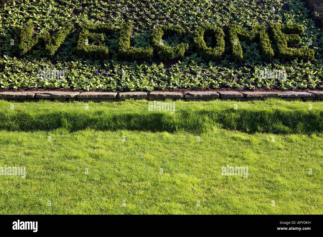 Welcome planted in a flower bed Stock Photo - Alamy
