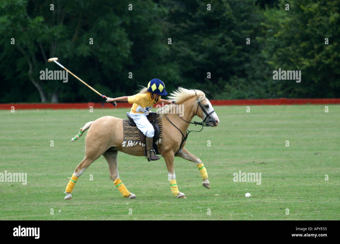 A child and her pony playing polo Stock Photo - Alamy