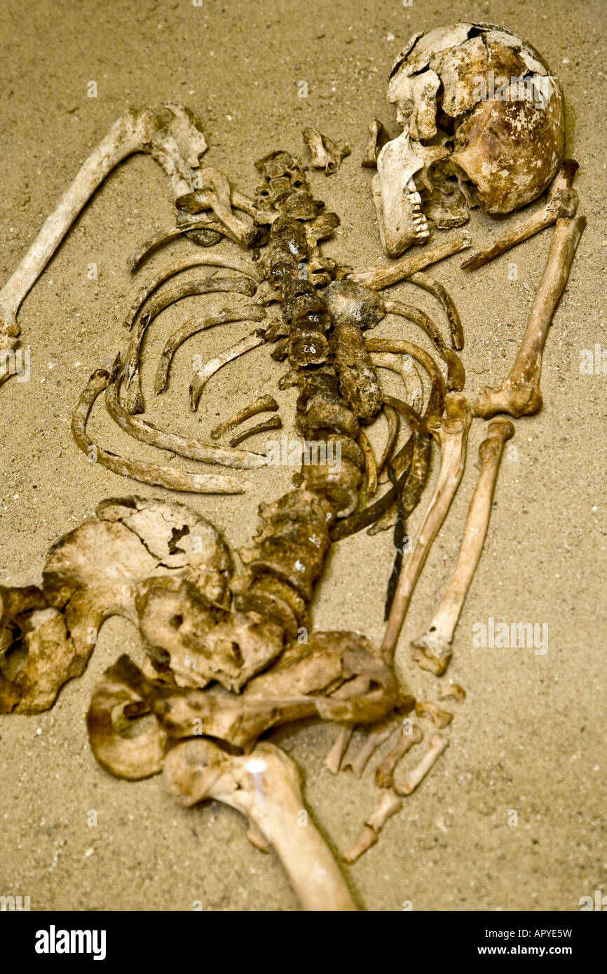 Skeleton framework hi-res stock photography and images - Alamy