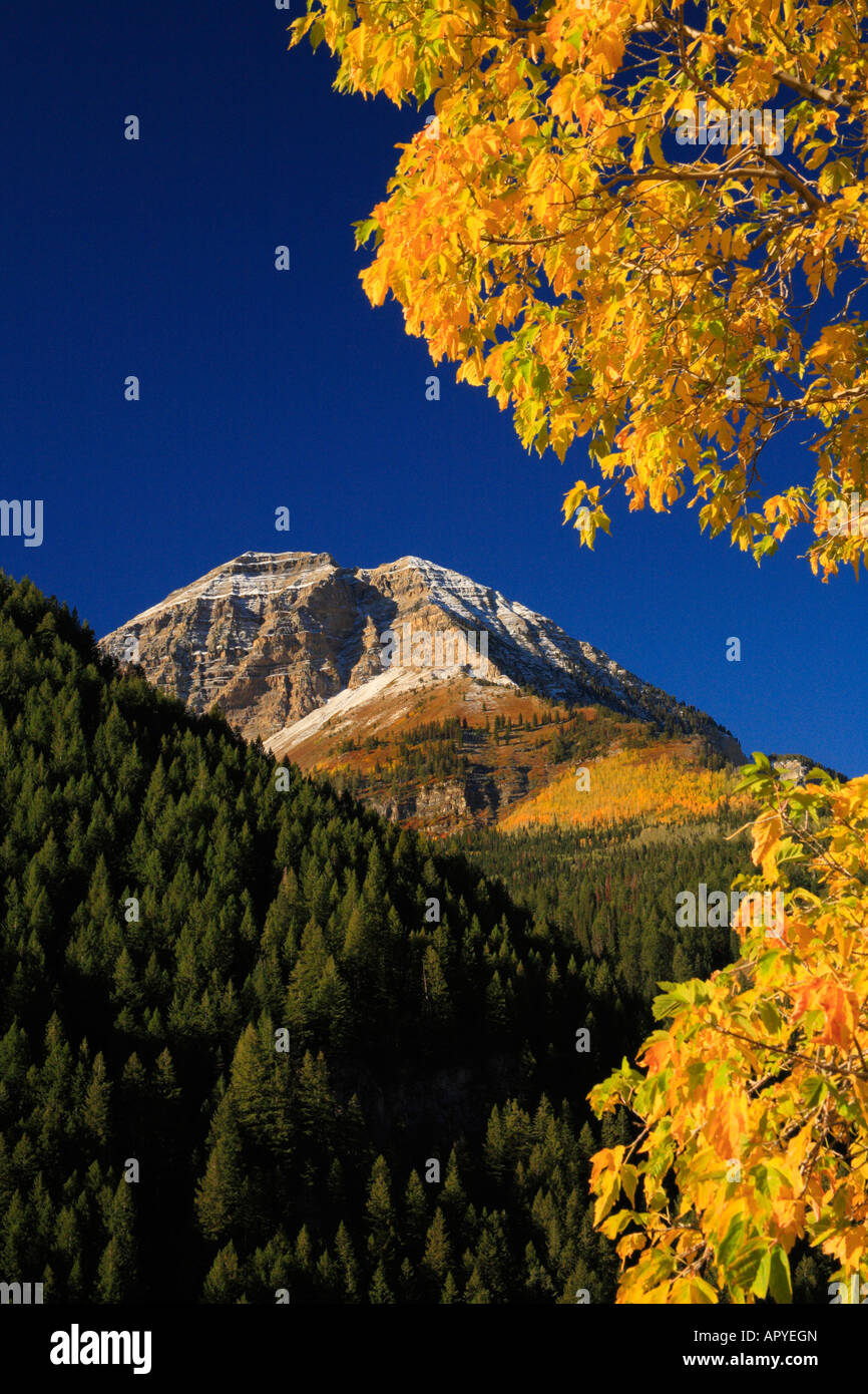 Mount Timpanogos, Alpine Loop, Provo, Utah, USA Stock Photo - Alamy