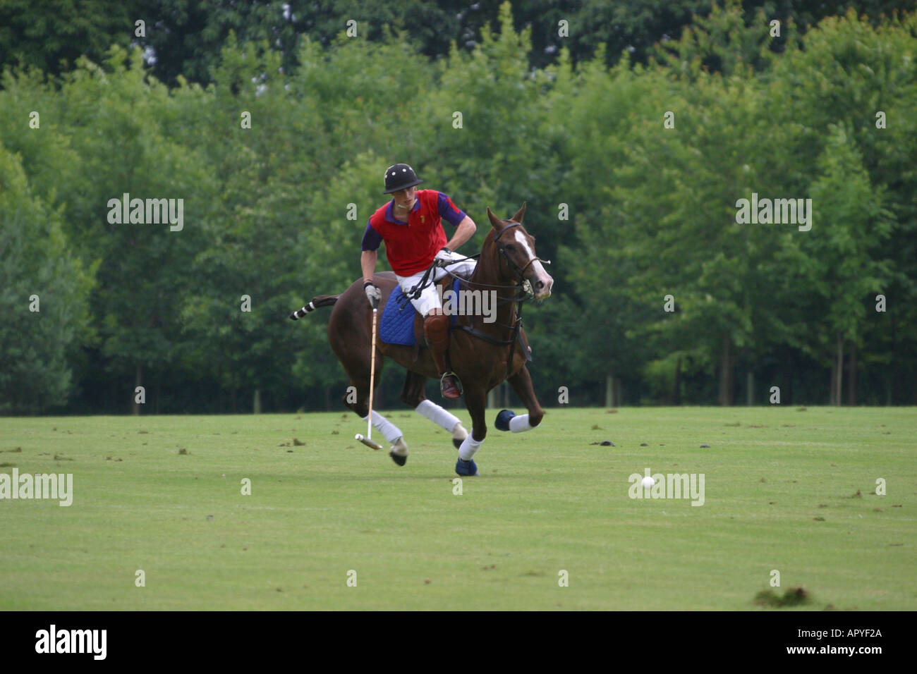 Prince william polo hi-res stock photography and images - Alamy