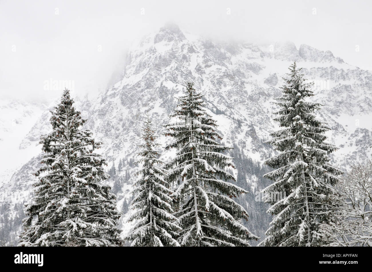 Winter landscape in Kleinwalsertal, Austria, Europe Stock Photo - Alamy
