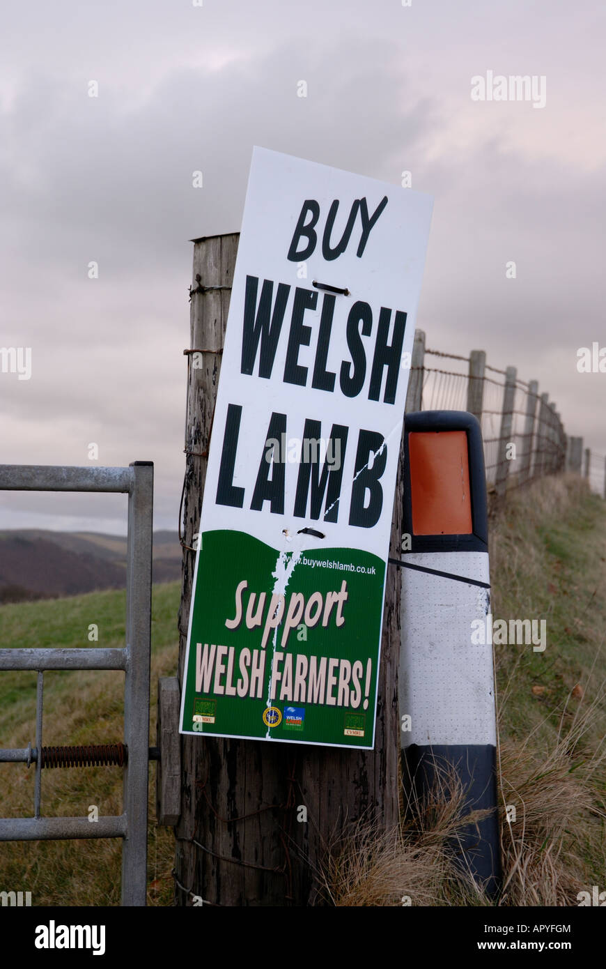 Poster on a gatepost promoting Welsh Lamb, Ceredigion, Wales Stock ...