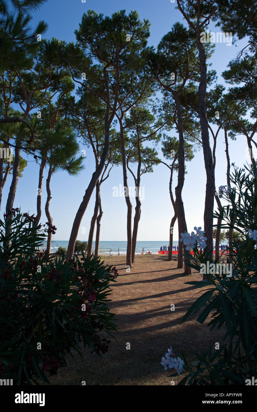 Italy Pineto the beach Stock Photo - Alamy