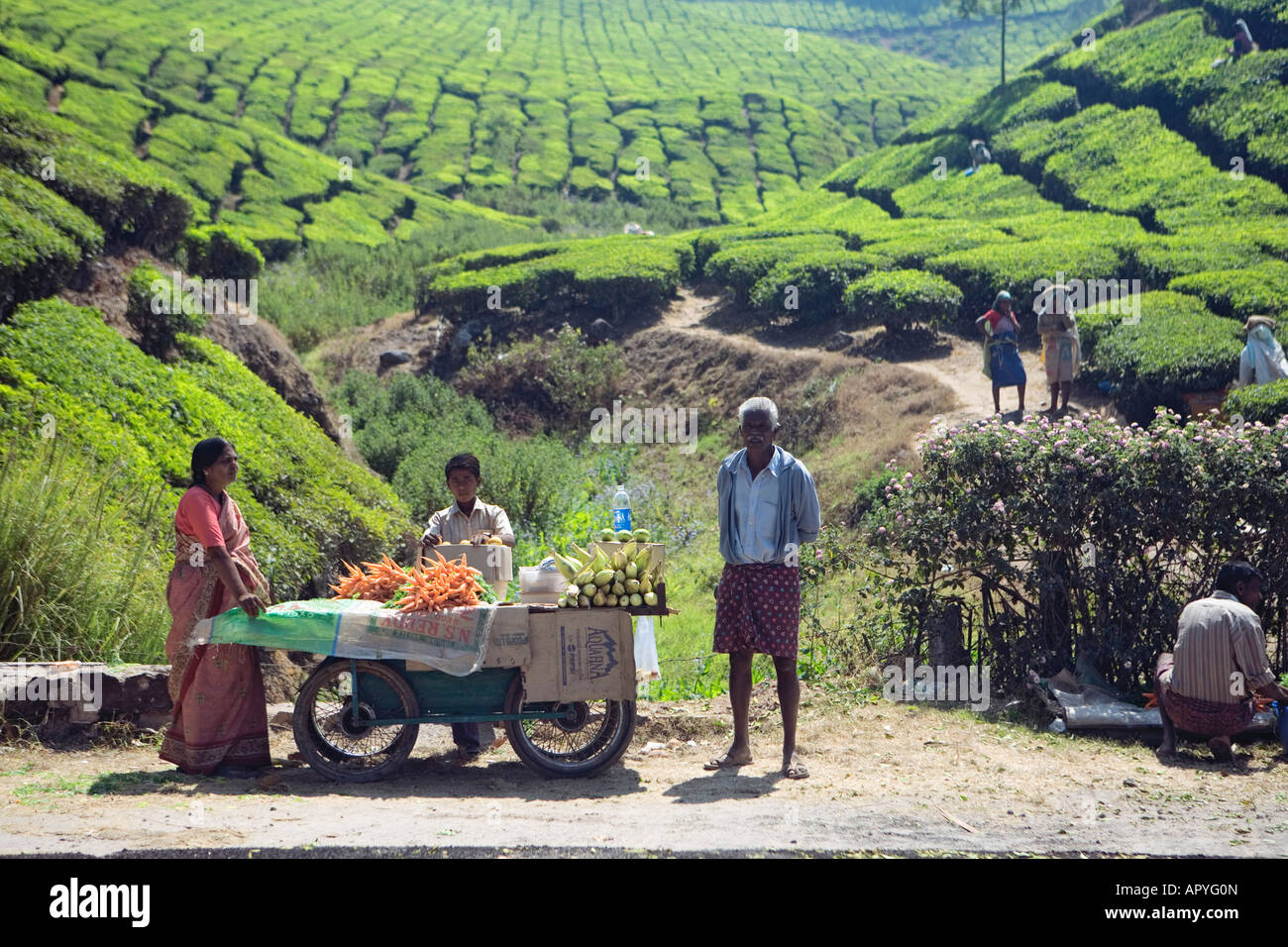 Kerala tea shop hi-res stock photography and images - Alamy