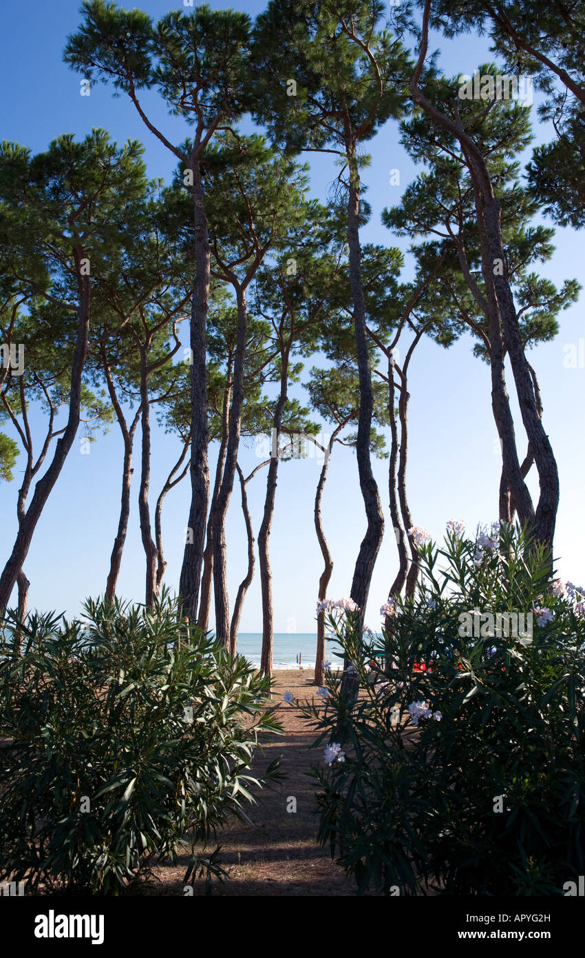 Italy Abruzzo the Pineto s beach Stock Photo - Alamy
