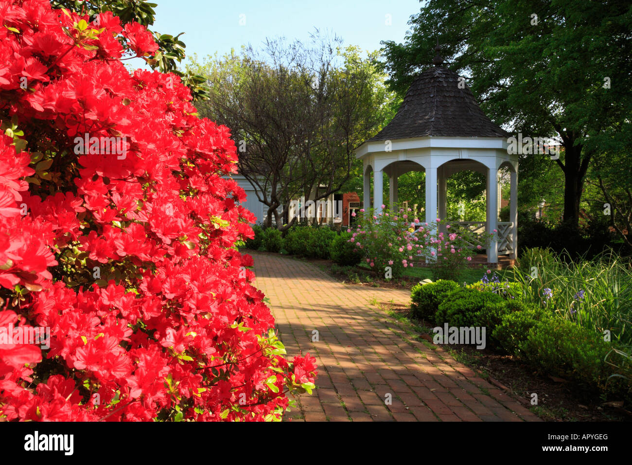 Carlyle house alexandria virginia hi-res stock photography and images ...
