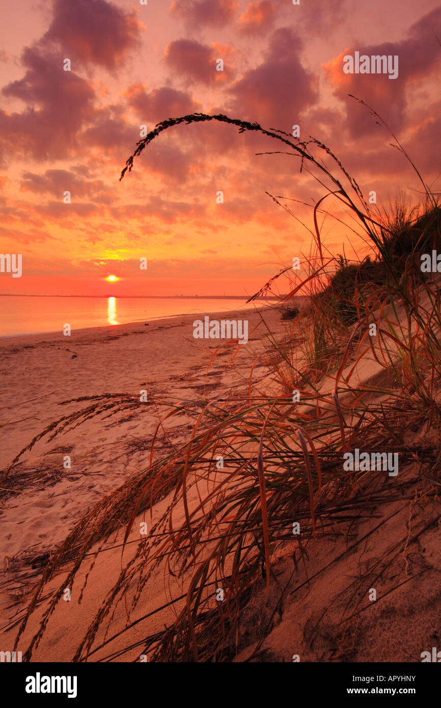 Lewes de hi-res stock photography and images - Alamy