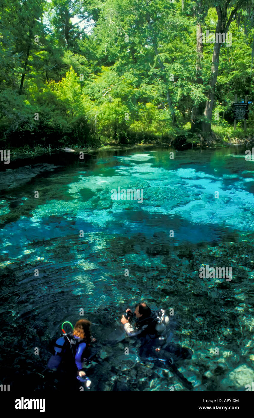 Ginnie Springs Florida fresh water spring run sport scuba diving High ...