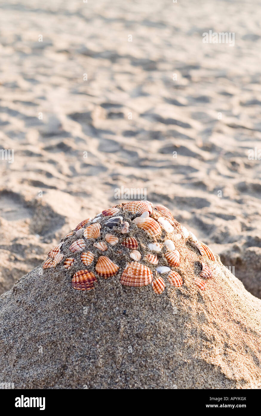 Sandcastle with shell Stock Photo - Alamy
