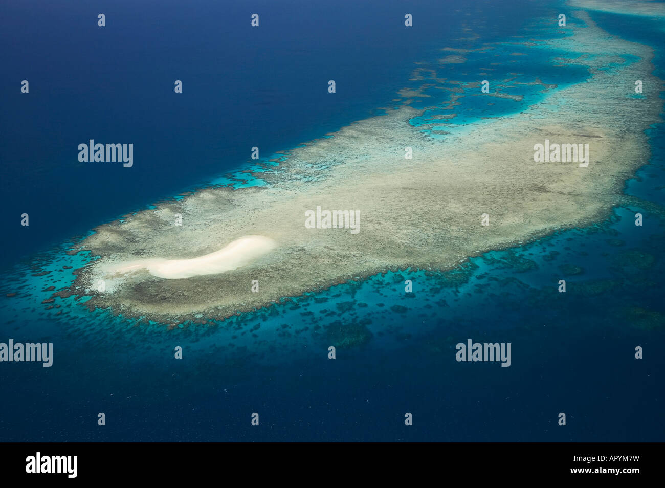 Undine Reef Great Barrier Reef Marine Park North Queensland Australia ...