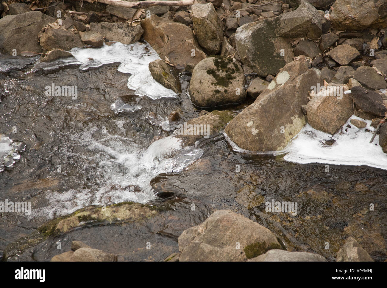 Water running in a stream Stock Photo - Alamy