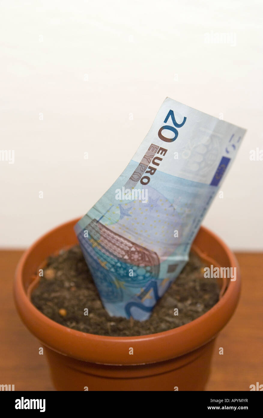 20 euro growing in the pot Stock Photo - Alamy