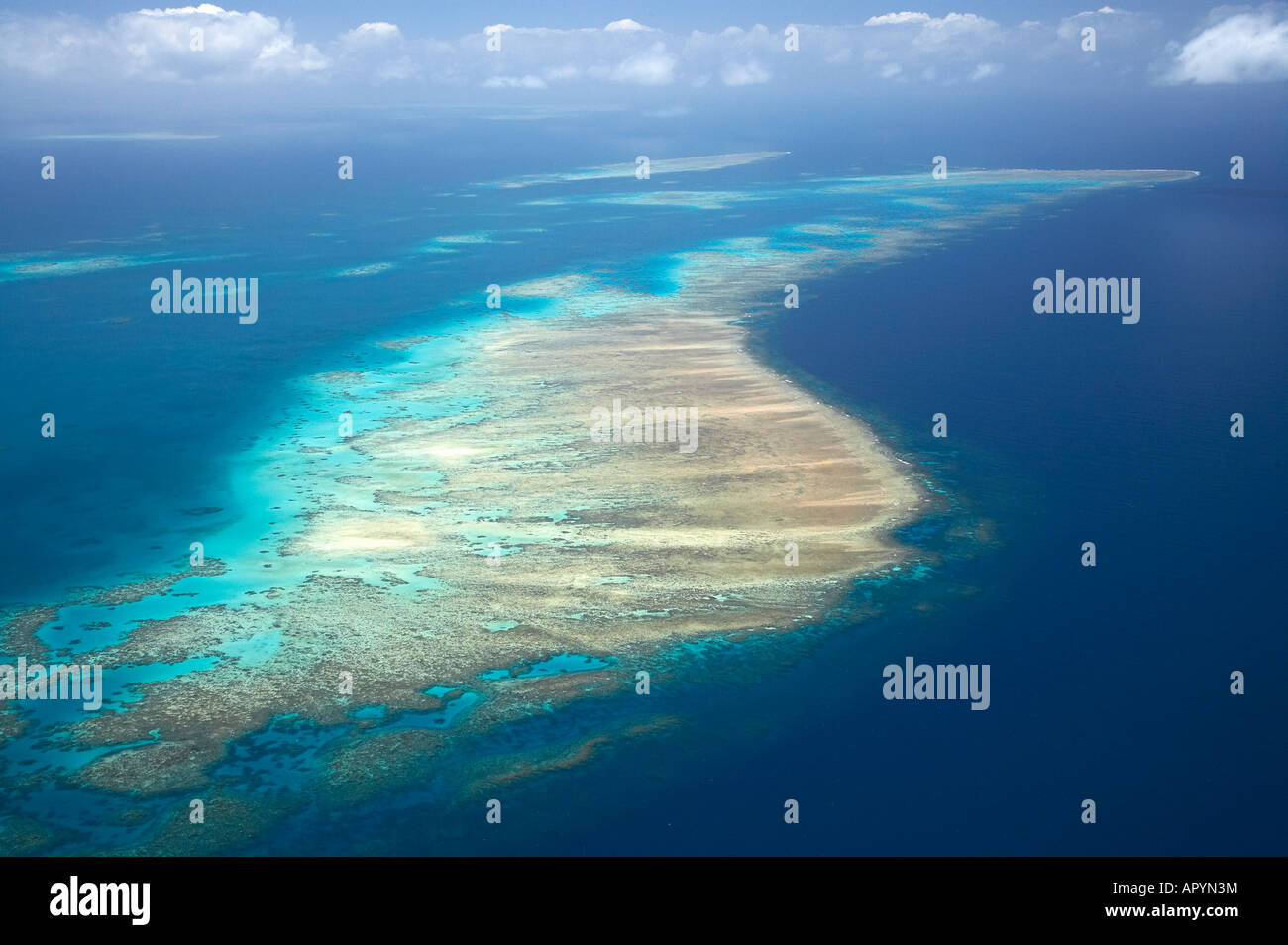Rudder Reef Great Barrier Reef Marine Park North Queensland Australia ...