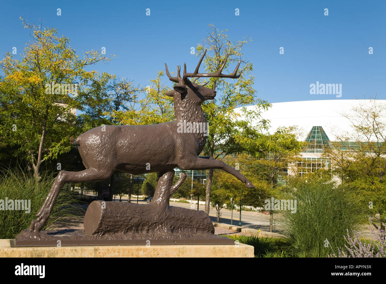 ILLINOIS Moline Statue of running deer outside John Deere Pavilion i ...