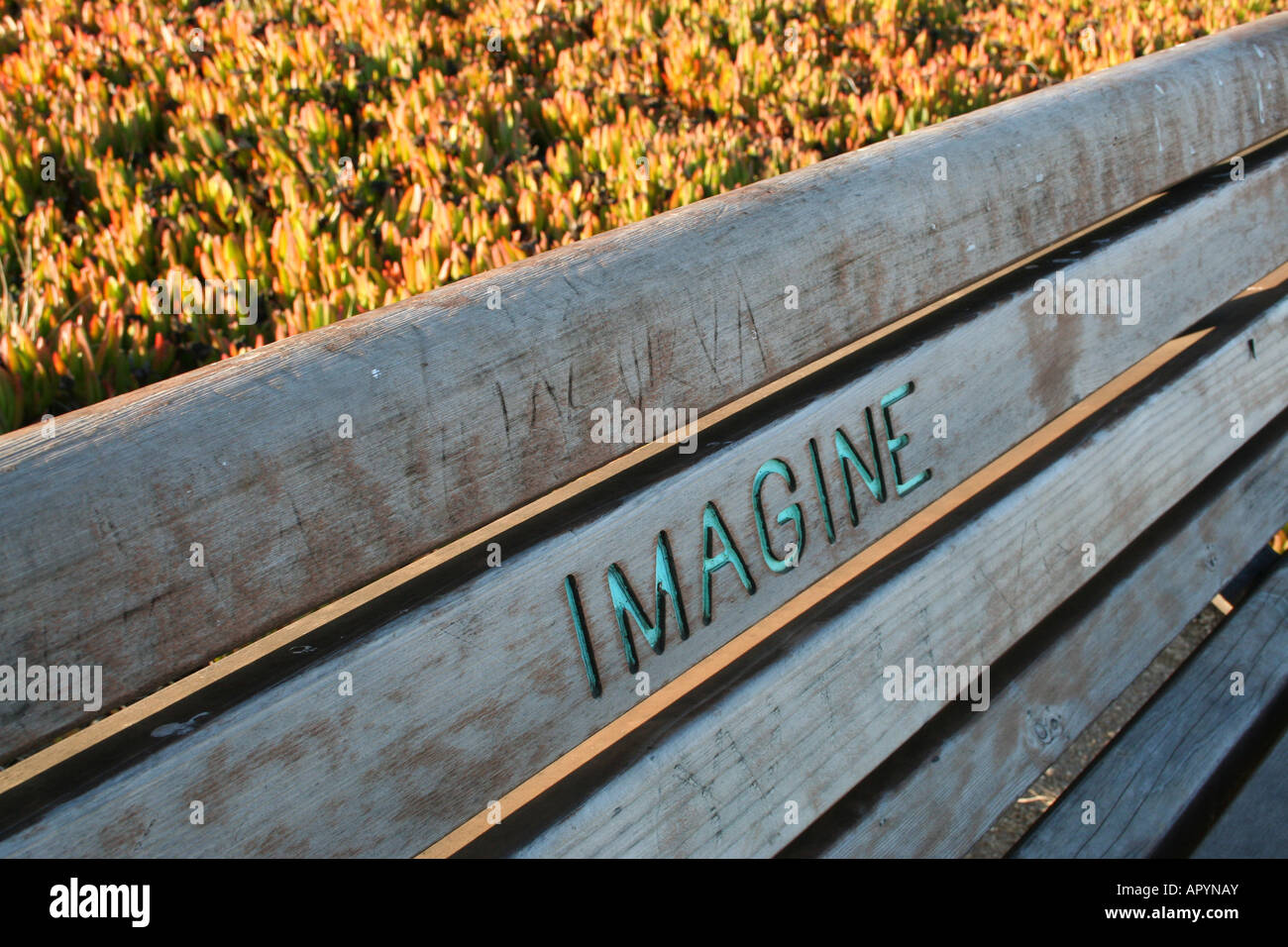 Imagine bench, Santa Cruz, California, USA Stock Photo - Alamy