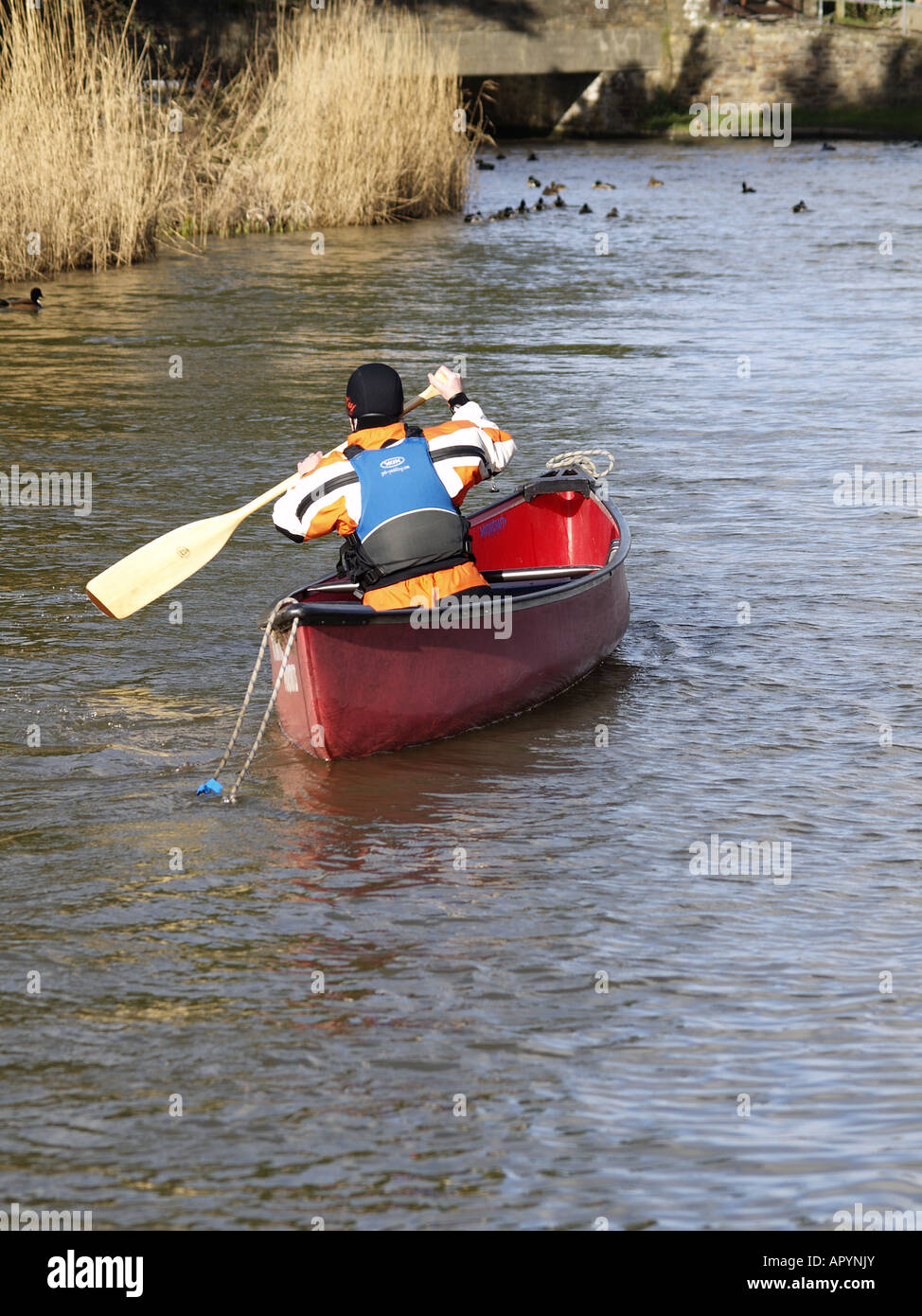 Canoeist paddling canoe, wearing life jacket on canal Stock Photo - Alamy
