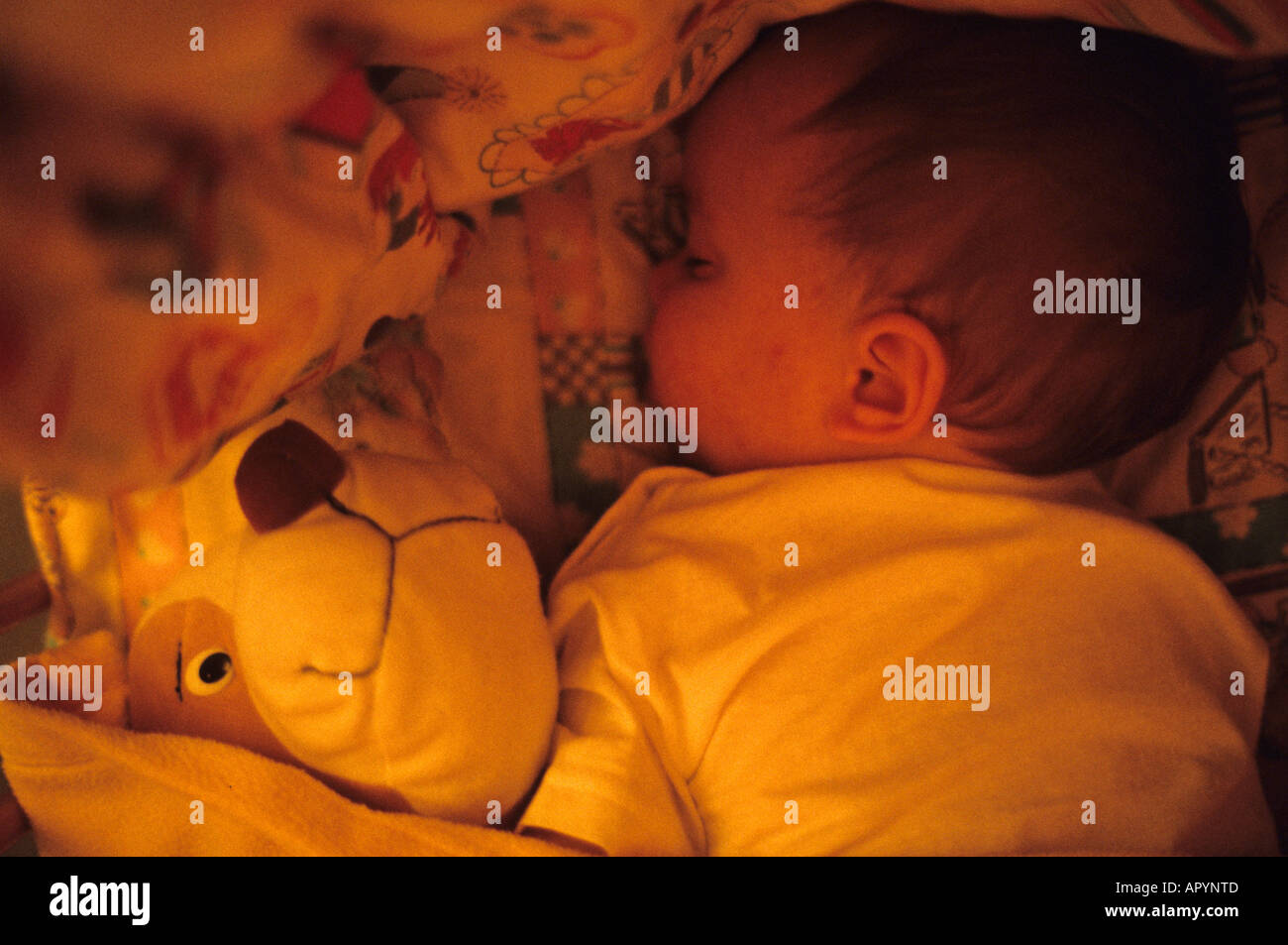 Boy one years old sleeping with his mascot puppet dog Stock Photo - Alamy