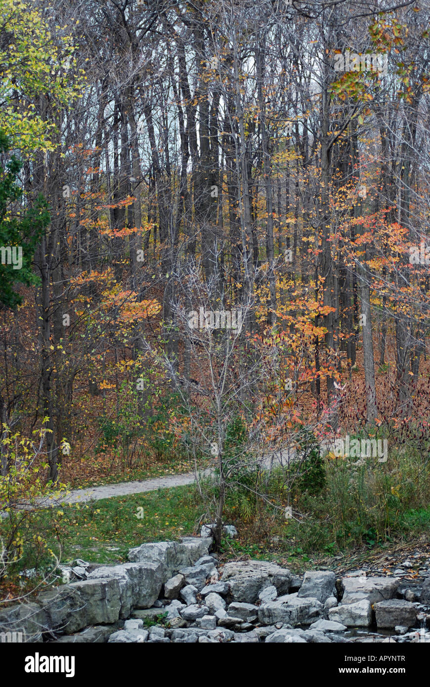 Cooksville hi-res stock photography and images - Alamy