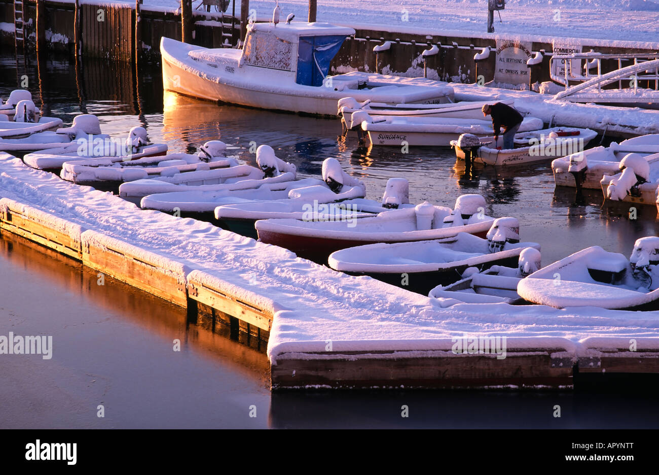 A fisherman shovels the snow out of his skiff at the fishing wharf in ...