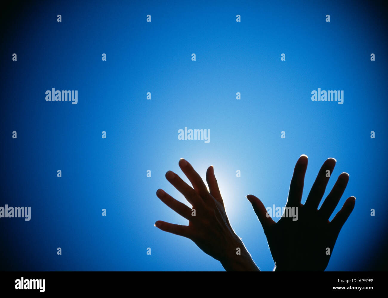 FEMALE HANDS REACHING FOR THE SKY Stock Photo - Alamy