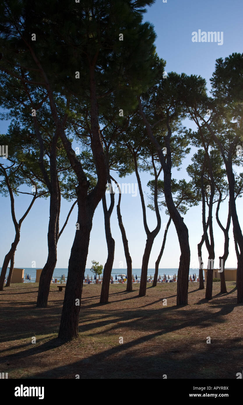Italy the Pineto beach Stock Photo - Alamy