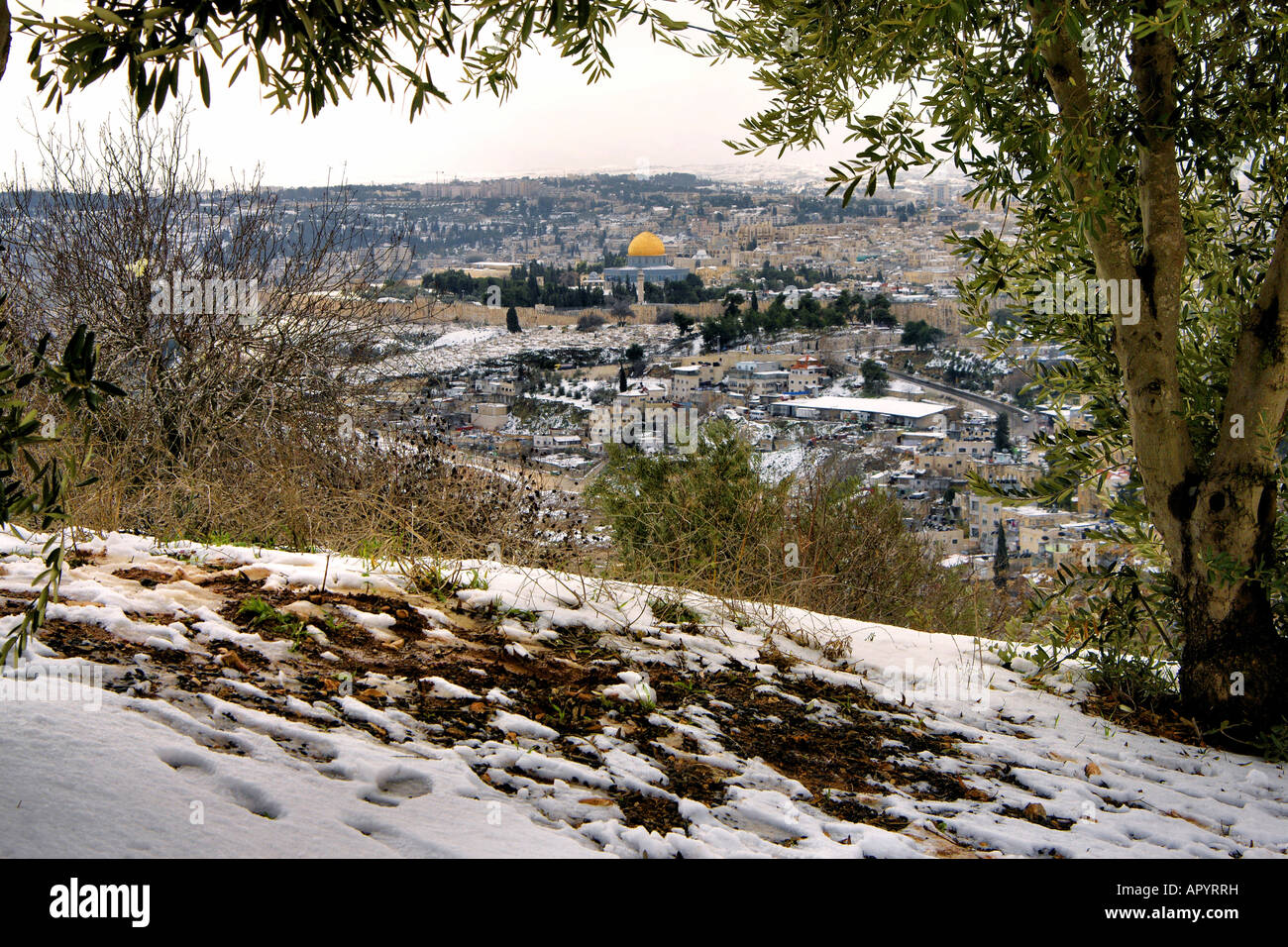 Israel. The old city of Jerusalem covered with snow, as seen from Mount ...