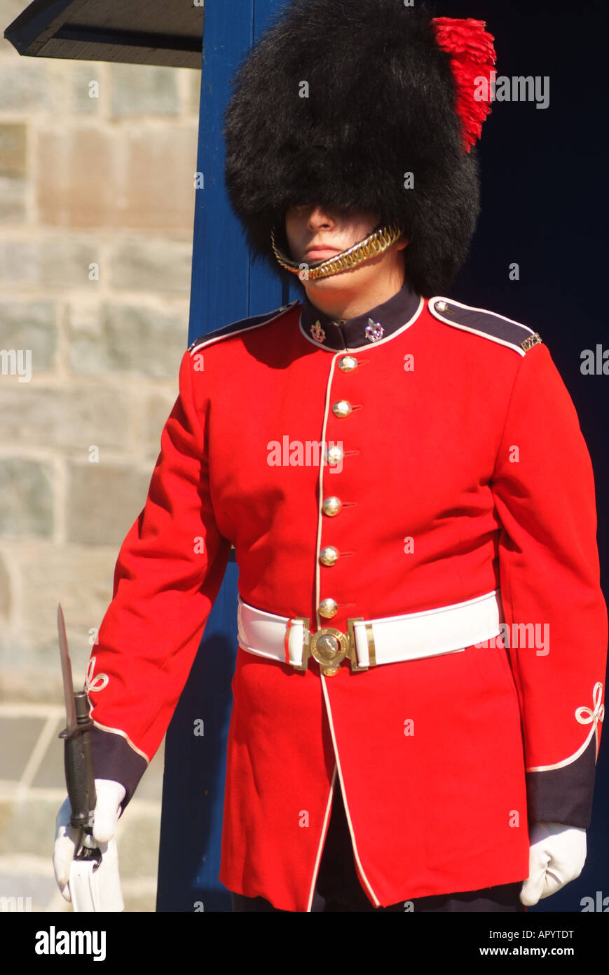 Canadian military guard Stock Photo - Alamy