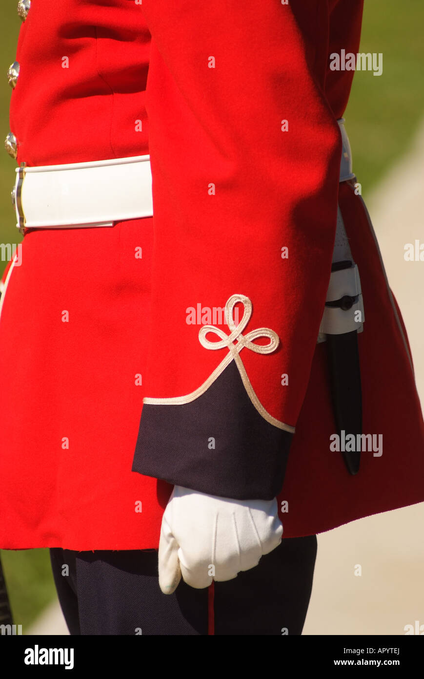 Canadian military guard Stock Photo - Alamy