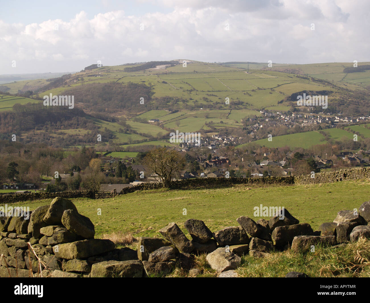 sheep farmland field wall coppice peak district Stock Photo - Alamy