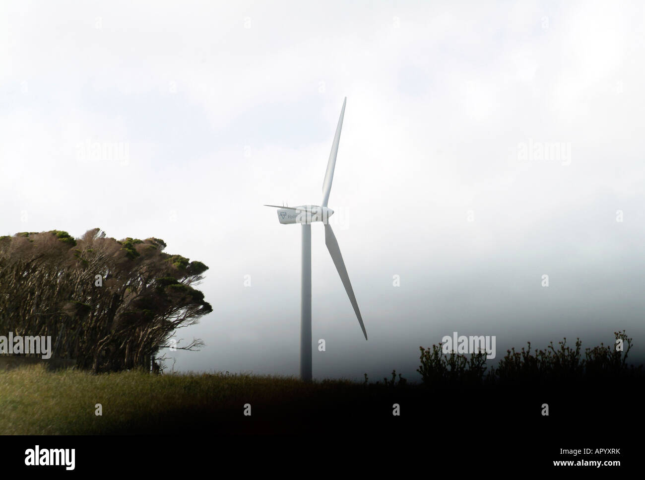 Australia Tasmania wind farm at Woolnorth in nth west photos by Bruce ...