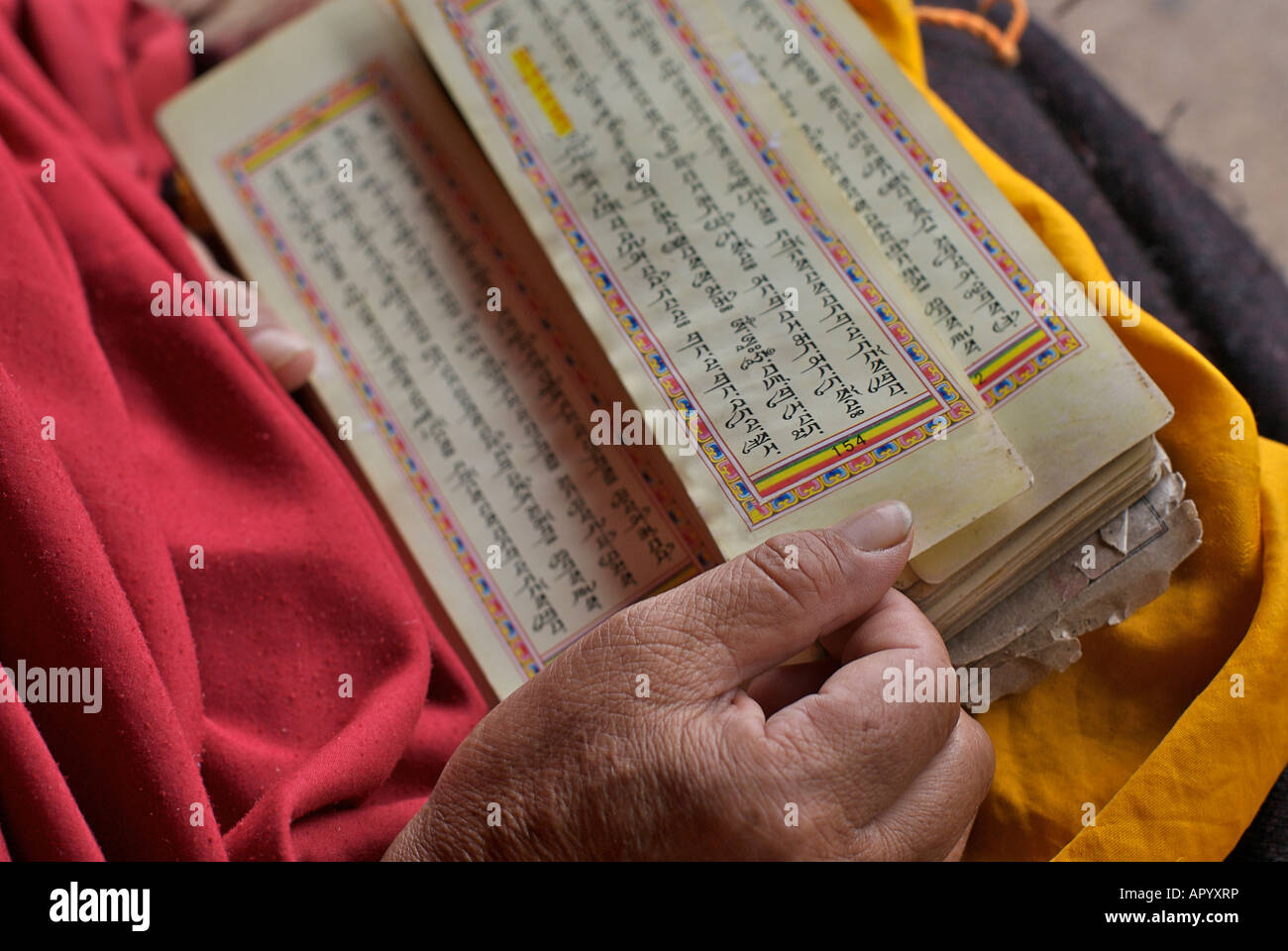 Buddhist monk reading scripture hi-res stock photography and images - Alamy