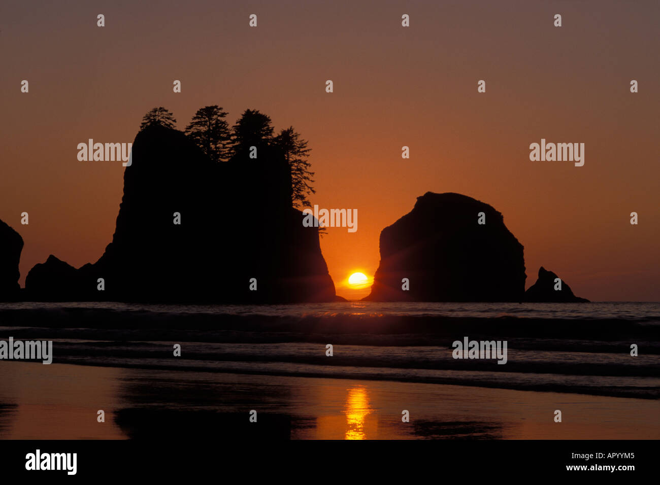 colorful silhouette of sunset at Point of the Arches Shi Shi beach ...