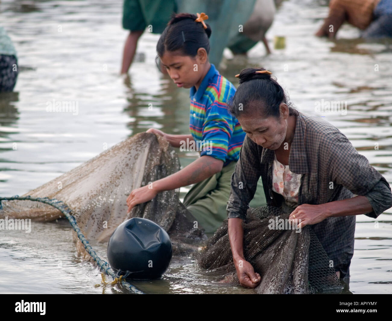 Burmese women cleaning fish from nets Stock Photo - Alamy
