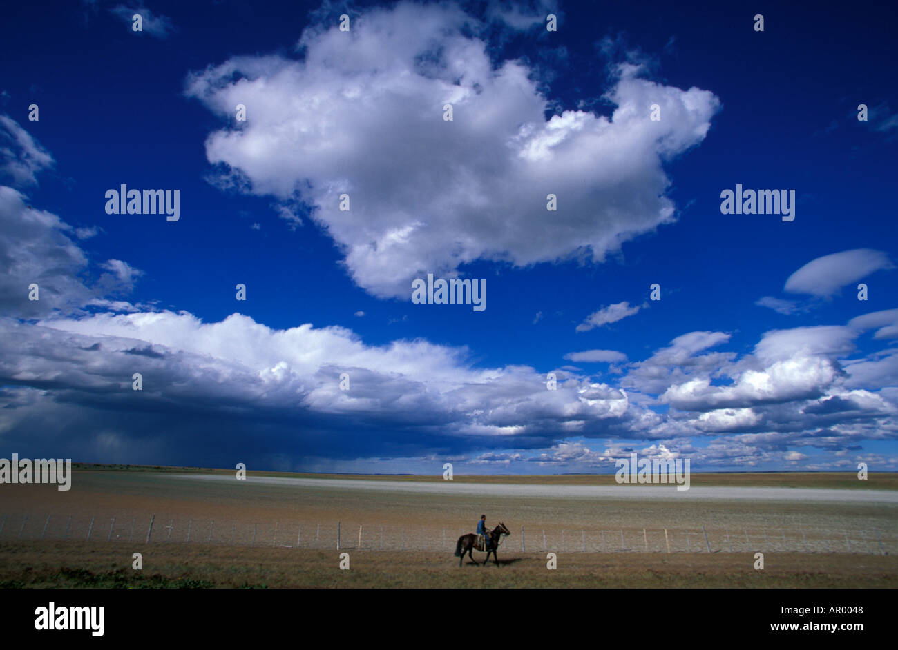 Punta Arenas Puerto Natales Chile Stock Photo - Alamy