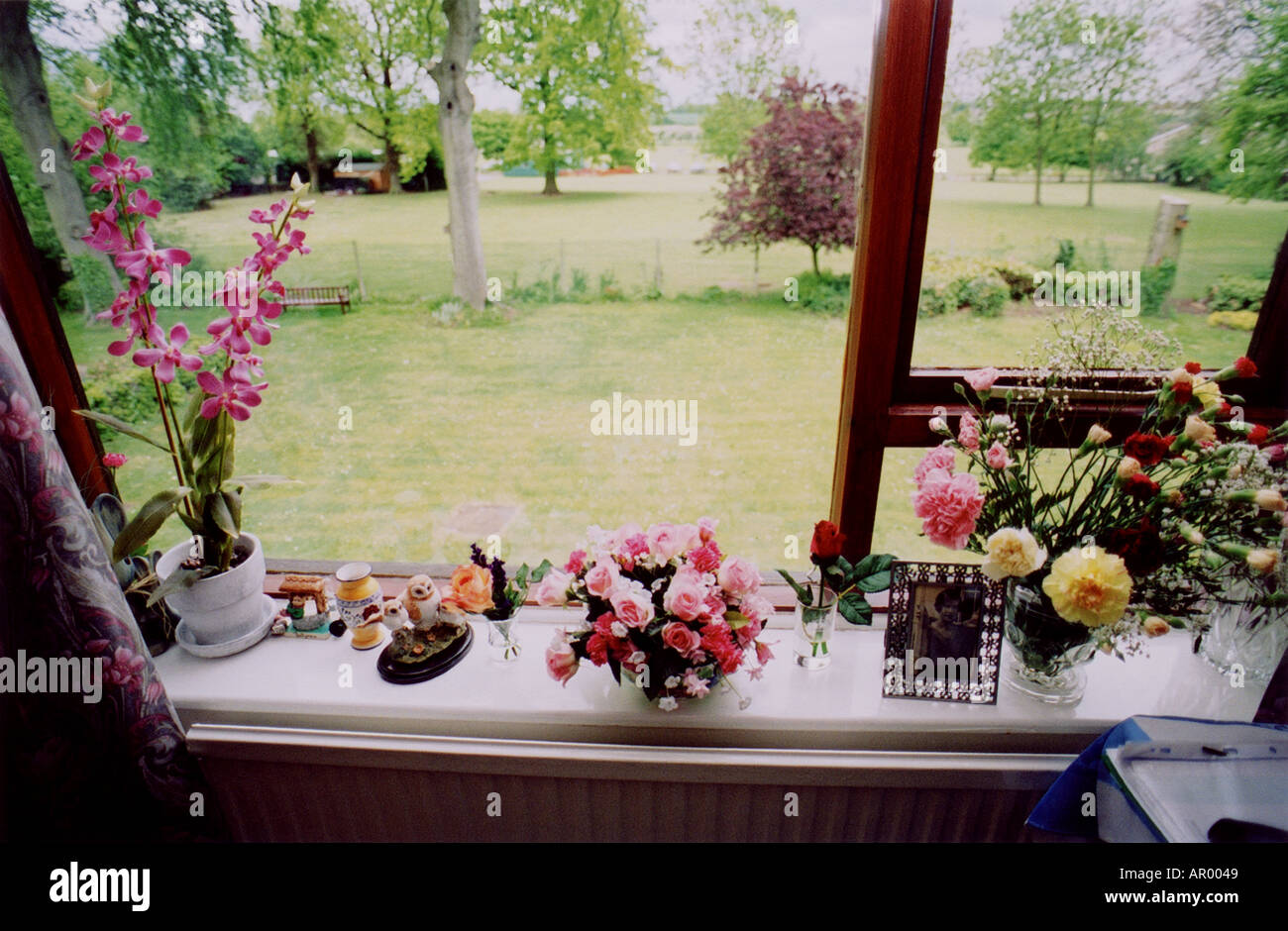 Window sill flowers hi-res stock photography and images - Alamy