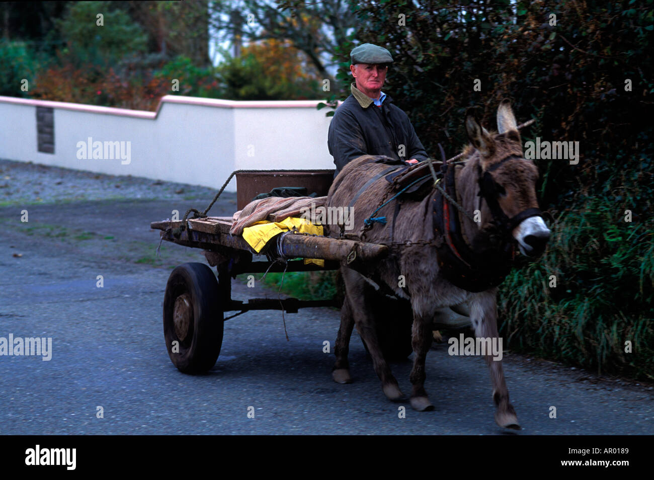 a farmer rides his donkey draw cart in West Ireland Stock Photo - Alamy