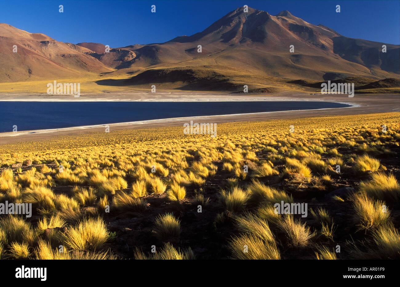 Laguna Miscanti Cerro Miniques The Andes North Chile Stock Photo - Alamy