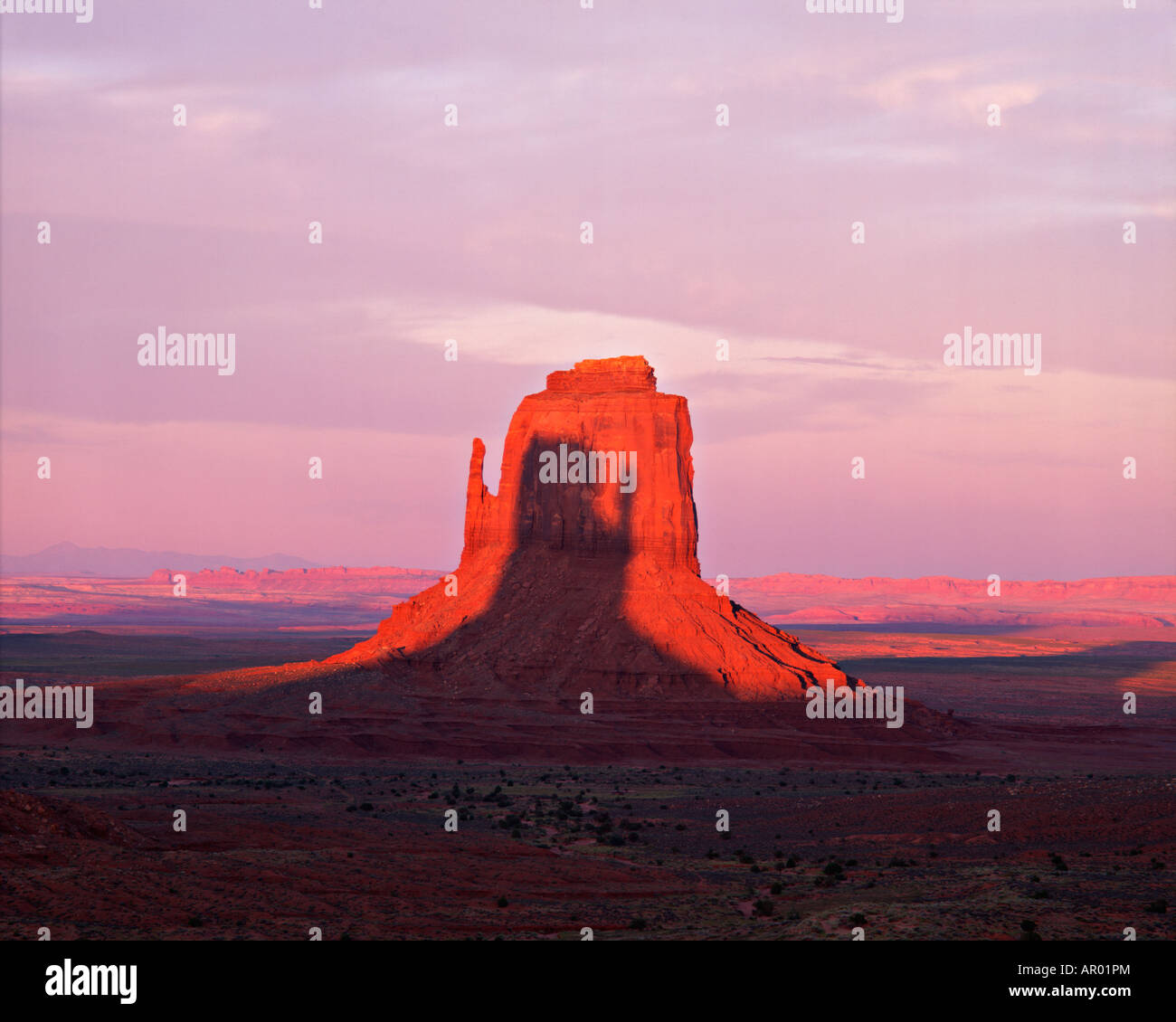 Mitten shadow hi-res stock photography and images - Alamy
