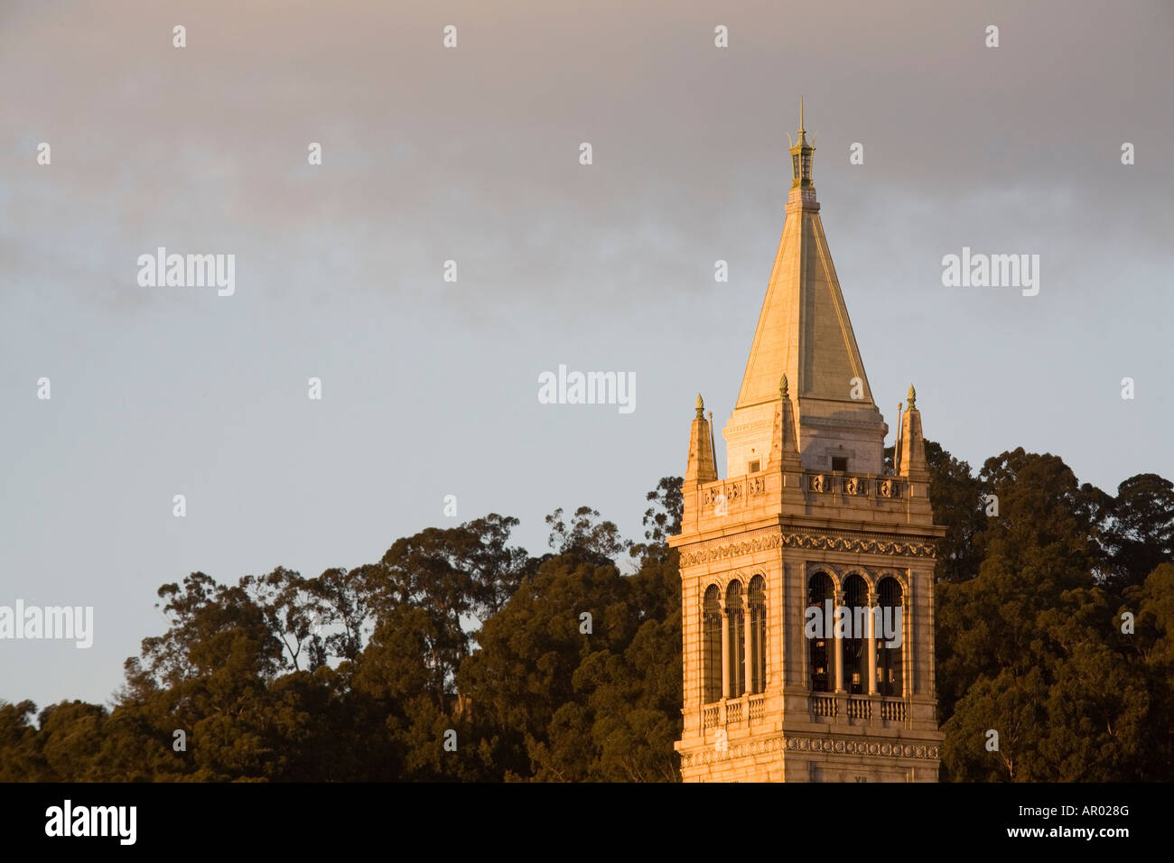 The Sather Tower on the University of California at Berkeley ...