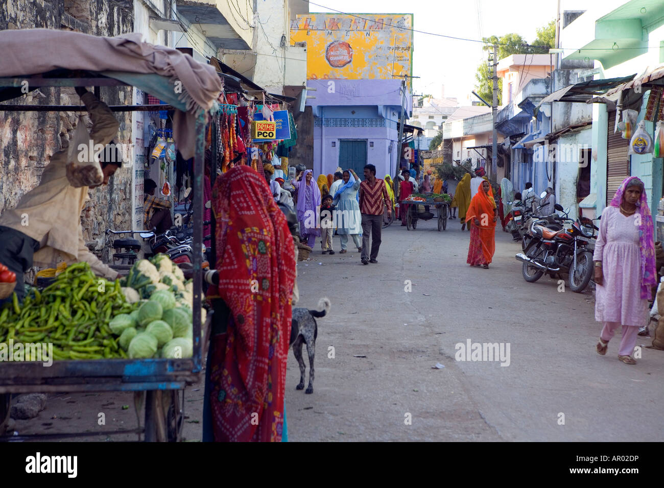 Nimaj and village hi-res stock photography and images - Alamy