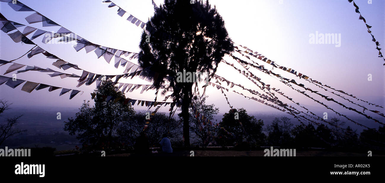 View at back lit tree and prayer flags, Kathmandu, Nepal, Asia Stock ...