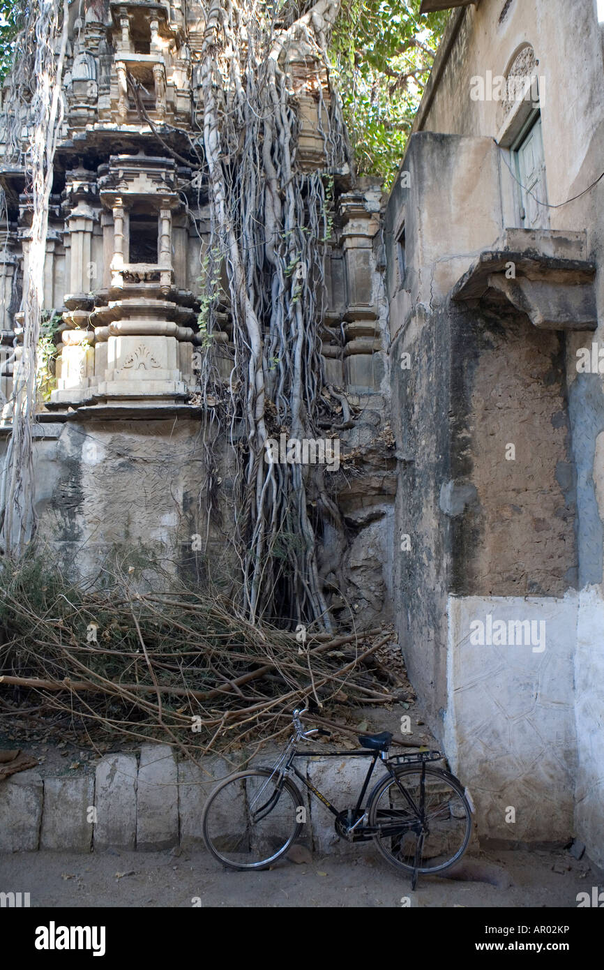 Overgrown Hindu temple in the Rajasthan village of Nimaj Stock Photo ...
