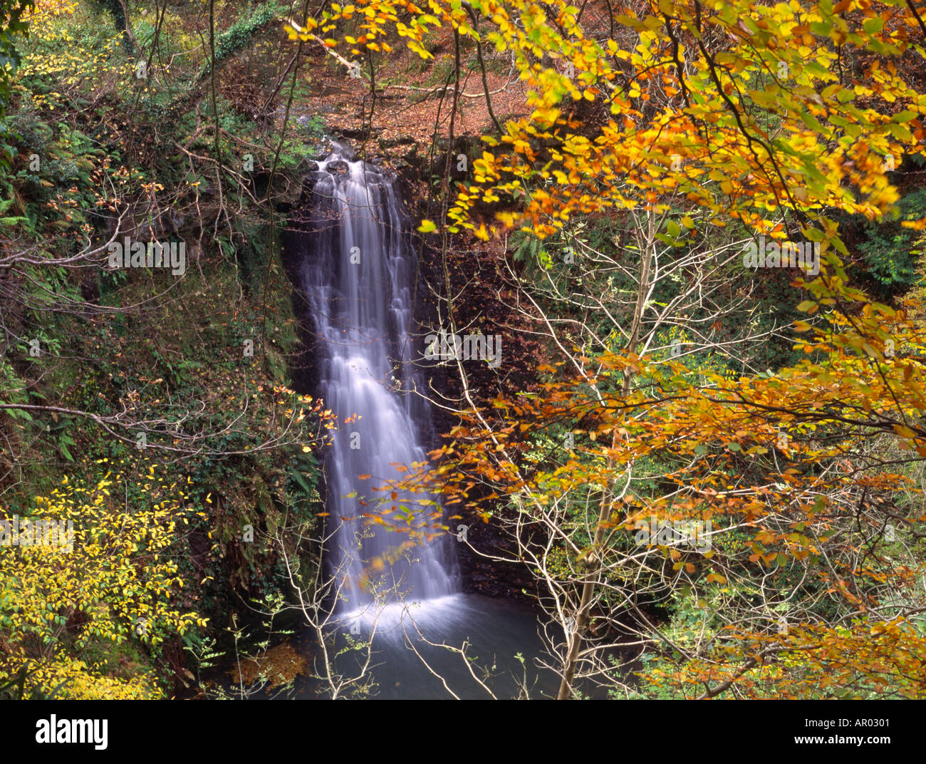 Autumn Falling Foss North Yorkshire Moors UK Stock Photo - Alamy