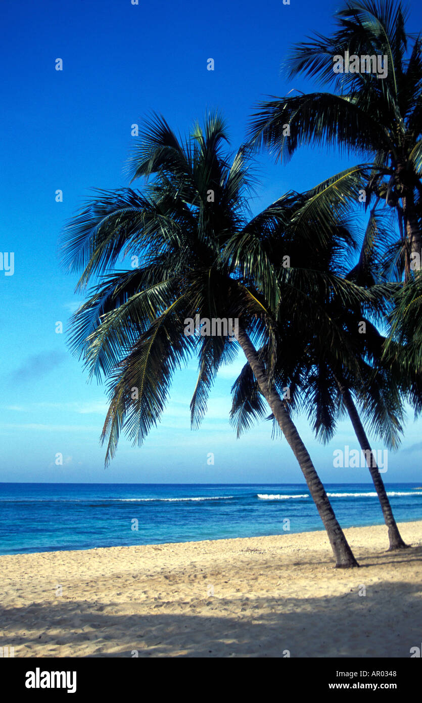 Deserted Tropical Beach Stock Photo - Alamy
