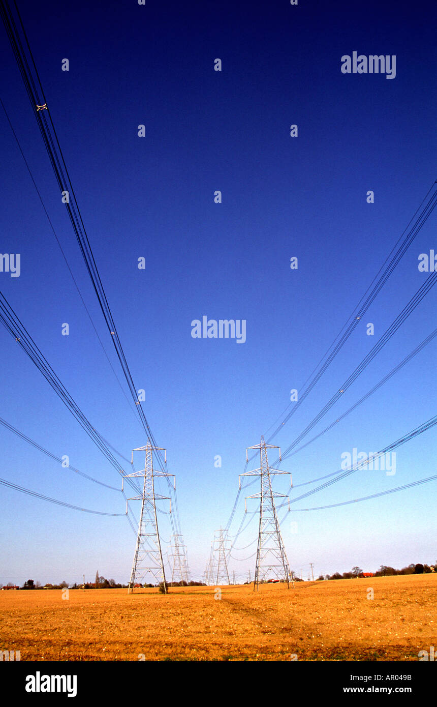 Electricity power lines crossing fields Suffolk Stock Photo - Alamy