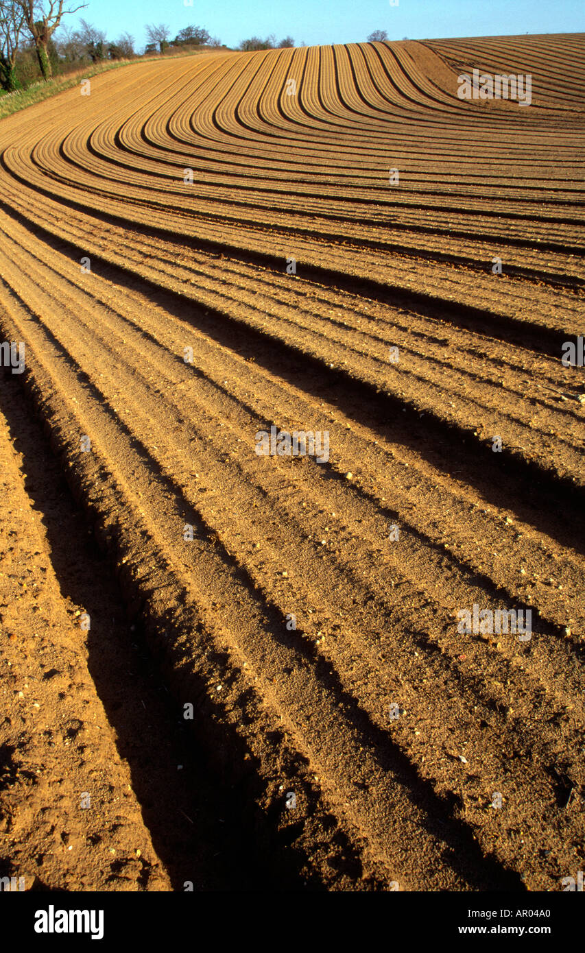 Furrow patterns hi-res stock photography and images - Alamy