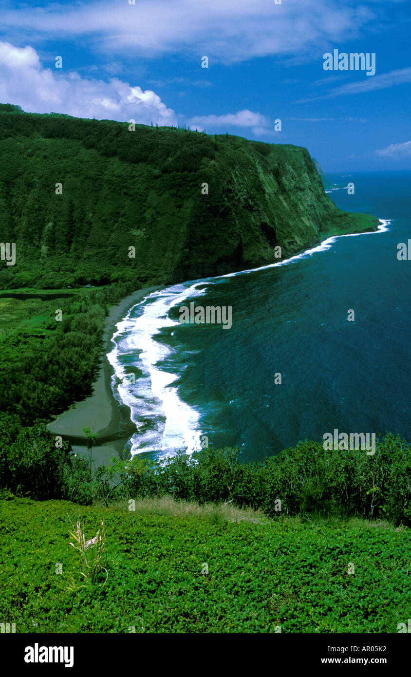 Waipio valley black sand beach hi-res stock photography and images - Alamy