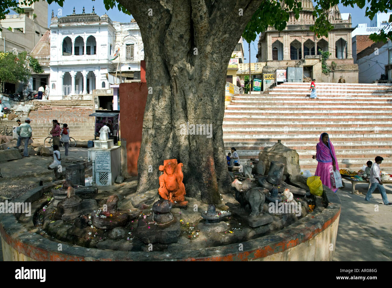 Tree shrine. Assi Ghat. Ganges river. Varanasi. India Stock Photo - Alamy