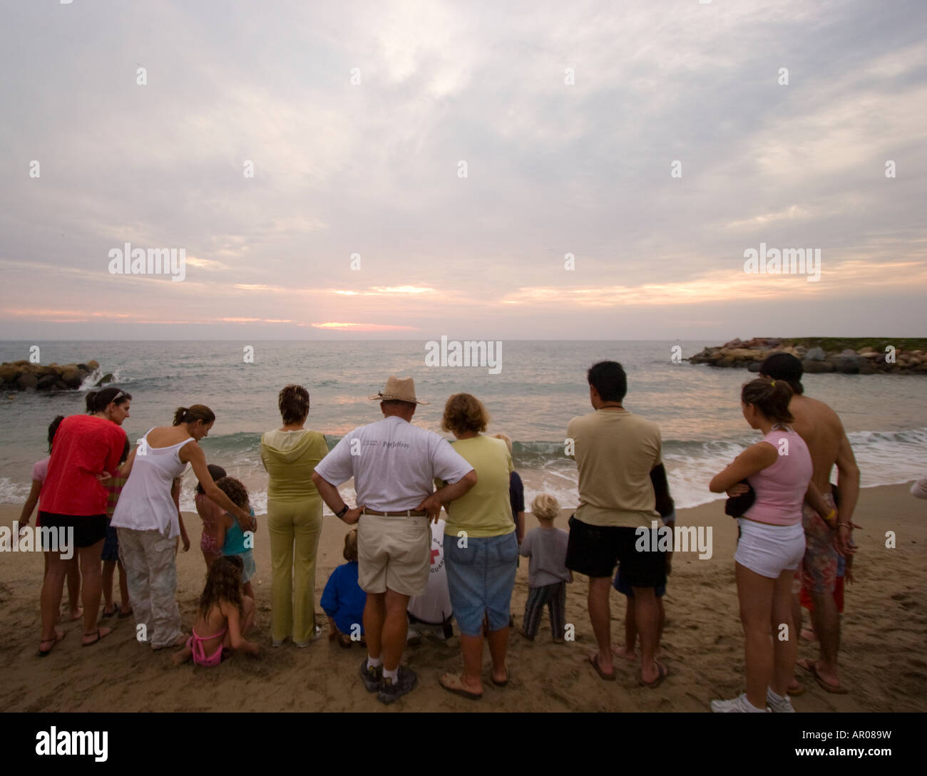 Oliver ridley turtles hi-res stock photography and images - Alamy